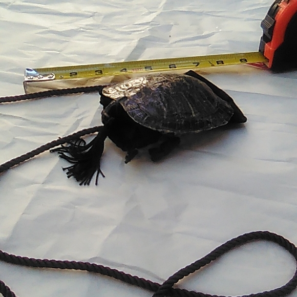 Bags | Turtle Shell Purse | Poshmark